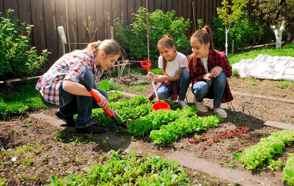 Arbor Management - AL AQSA AGRICULTURE CO.